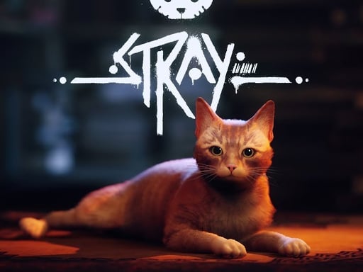 Play Stray For Free Online Instantly | Pokid